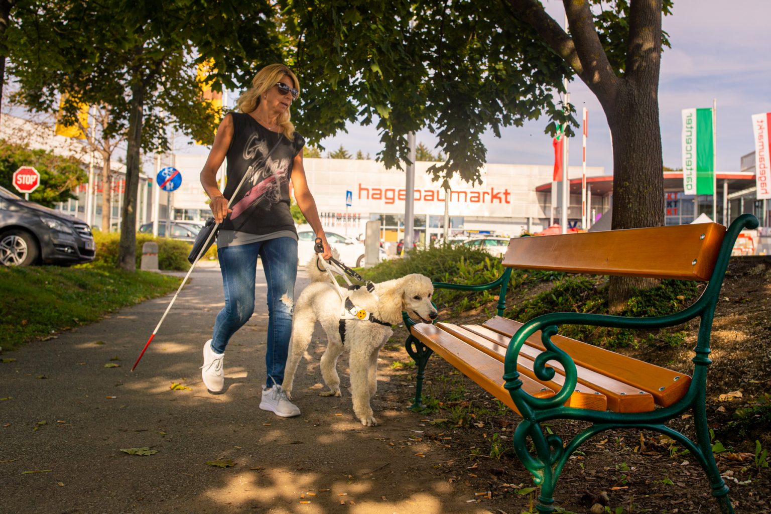 Blindenführhunde - Reha-Hunde Ausbildungsstätte für Assistenzhunde